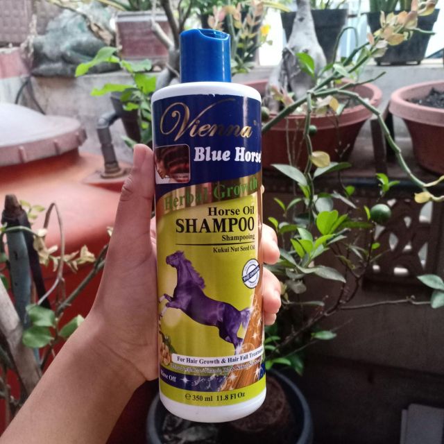 Vienna Vienna Blue Horse - Beauty Review