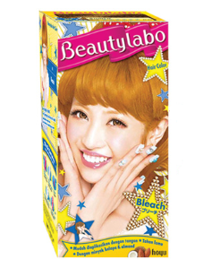 Beautylabo Hair Color - Beauty Review